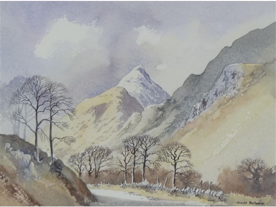 David Bellamy | Nantgwynant, North Wales | MutualArt