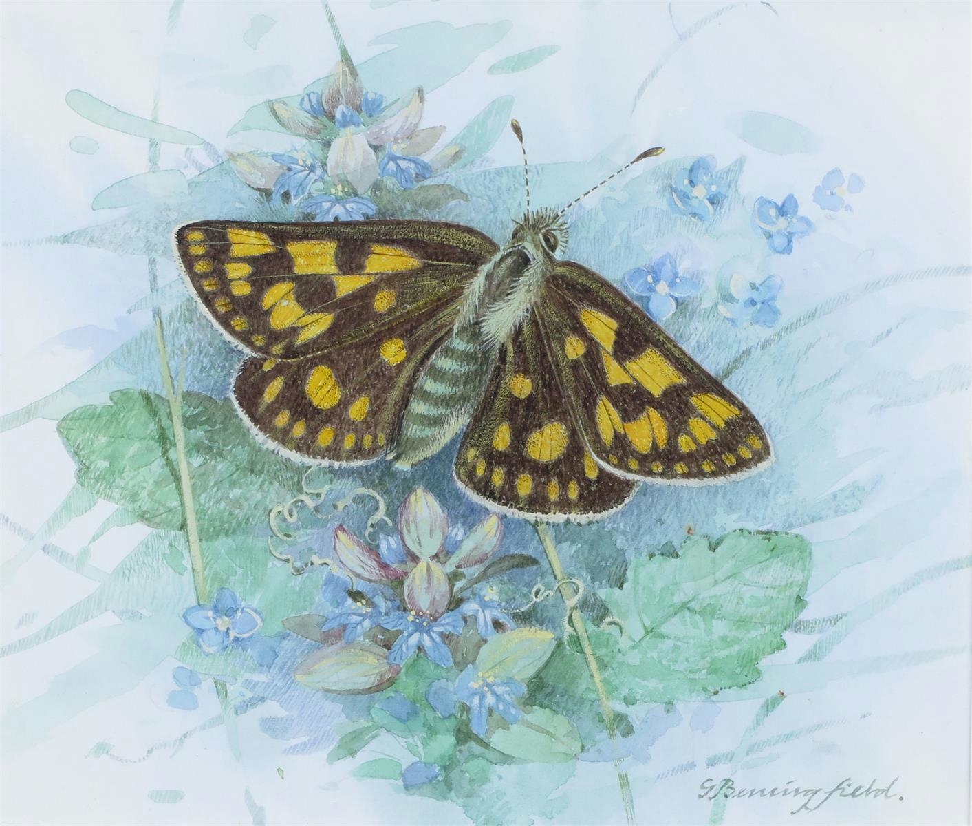 Gordon Beningfield | Chequered Skipper butterfly | MutualArt
