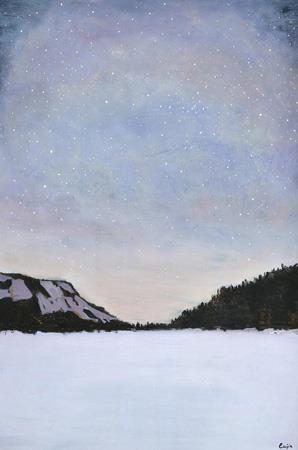 Yang Lujia | Starry Night No.2 (2013) | MutualArt