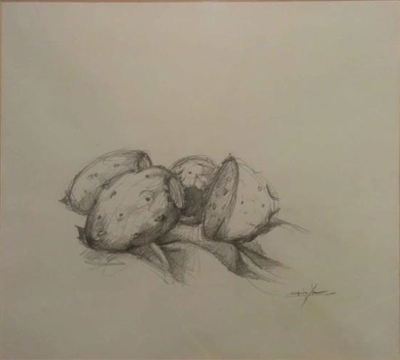 Dim Yuz | Cactus | MutualArt