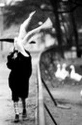 Jean-Luc Renier | Artist Overview | MutualArt