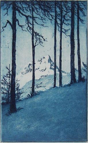 W. Foerster | Biography