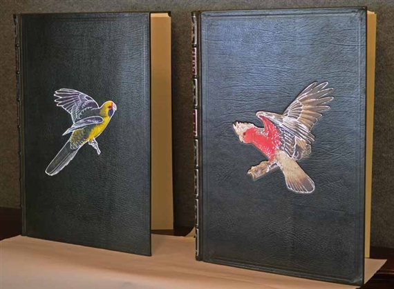 Joseph M. Forshaw | Australian Parrots | MutualArt