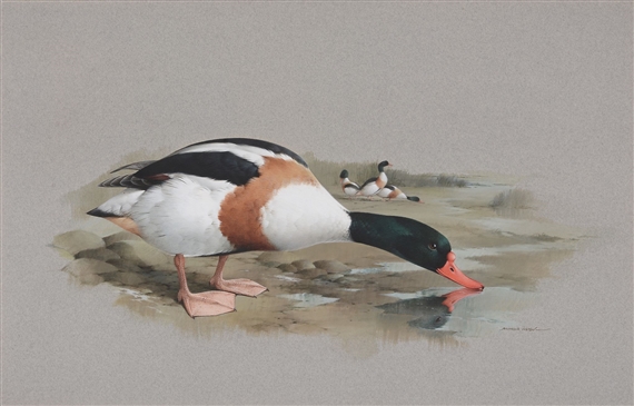 Raymond C. Watson | 58 Artworks | MutualArt