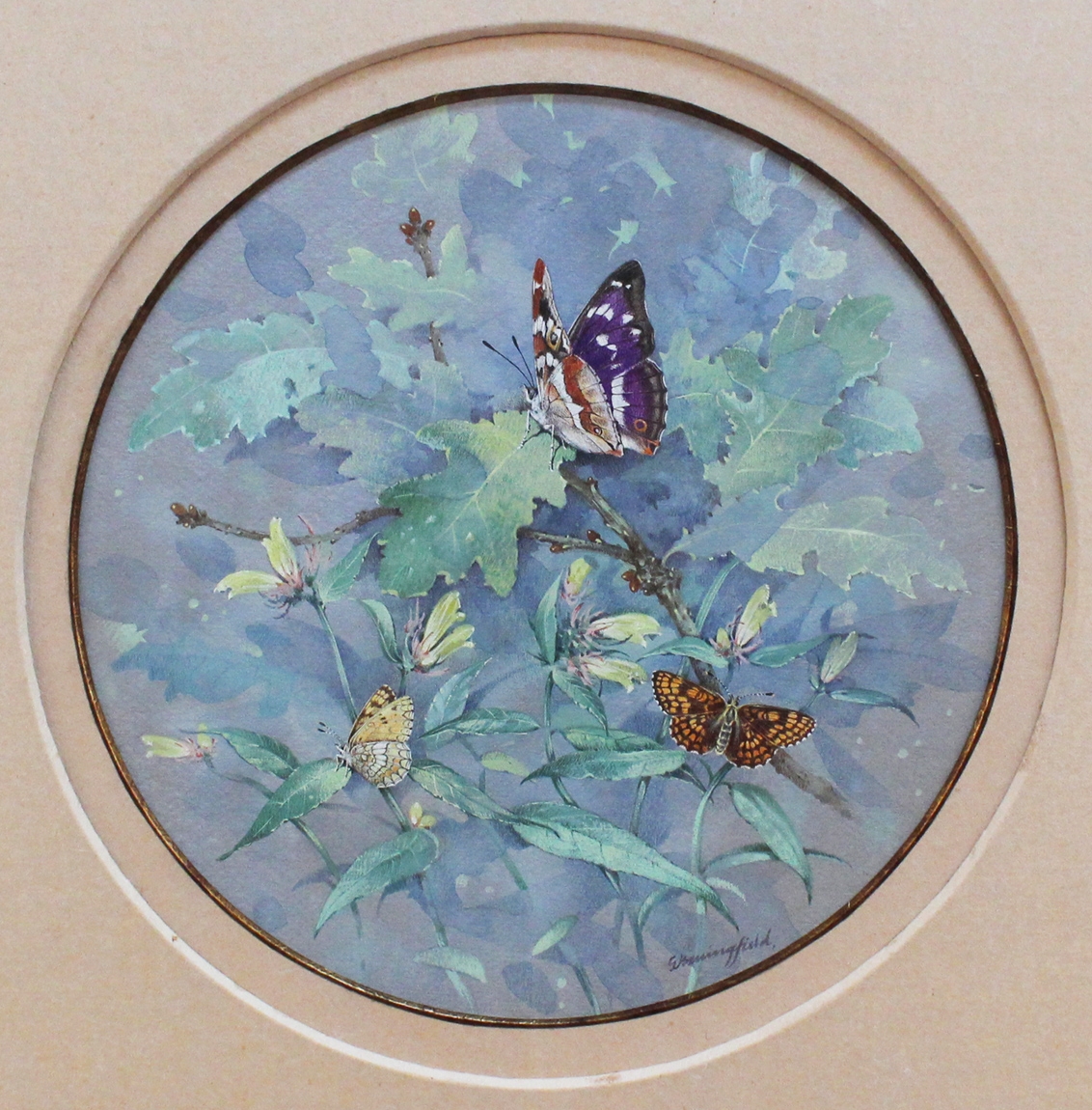 Gordon Beningfield | Purple Emperor (Apatura Iris) and Heath Fritillary ...