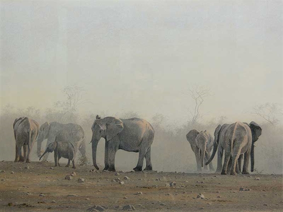 Kim Donaldson | Elephants | MutualArt