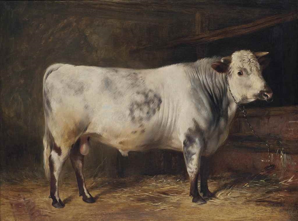 Henry Barraud | THE HERO, A BAY RACEHORSE (1847) | MutualArt