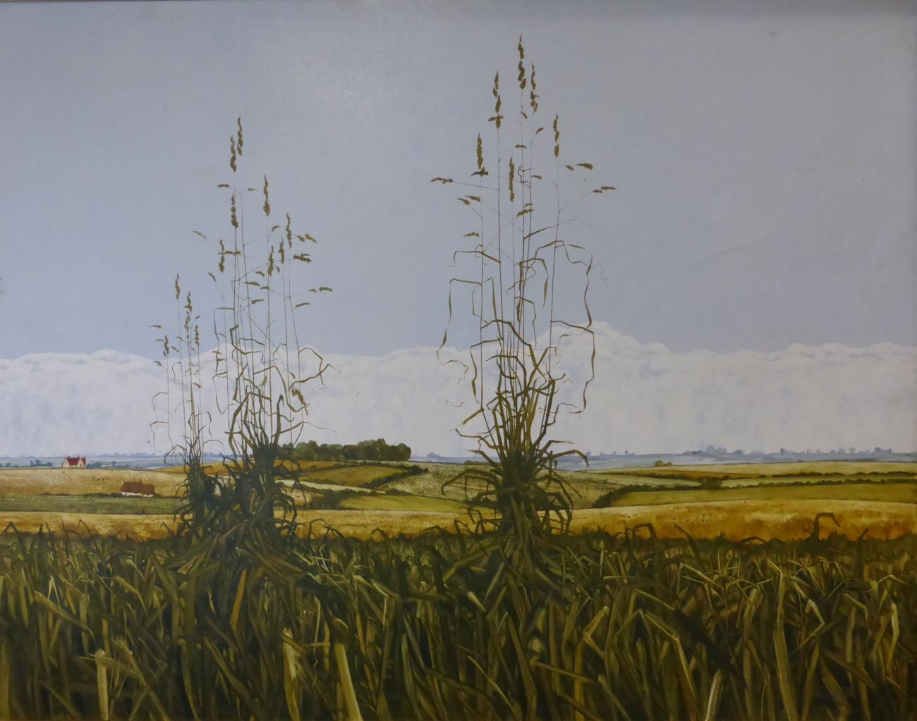 John Ridgewell | Grass and Landscape II (1967) | MutualArt