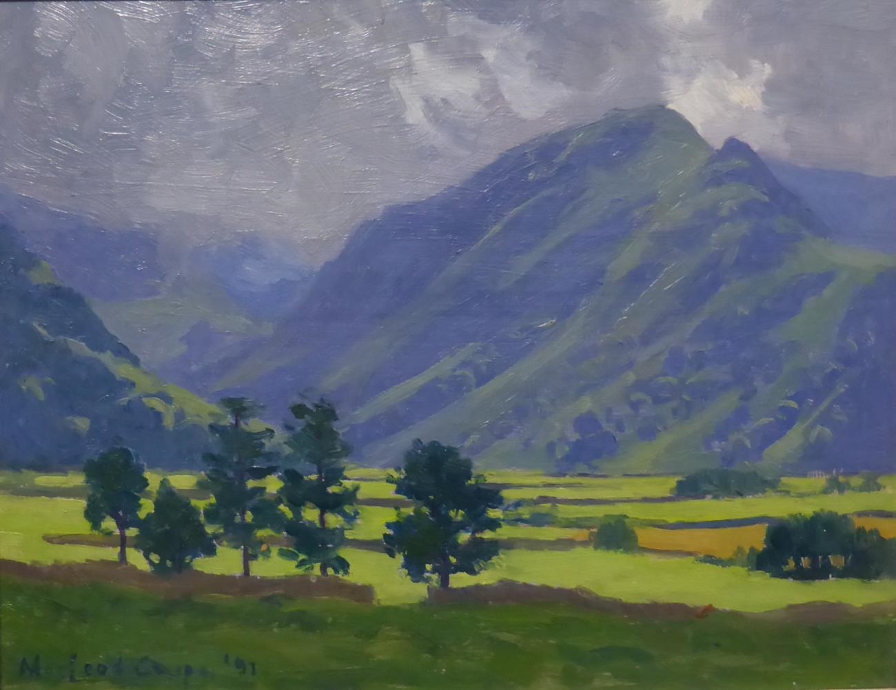 Philip Macleod-Coupe | Base Brown Borrowdale (1991) | MutualArt