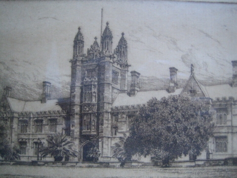 Alfred Edward Warner | SYDNEY UNIVERSITY | MutualArt