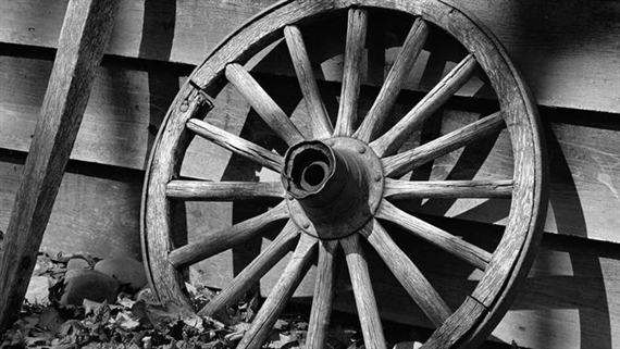 Patrick Cole | Artist Overview | MutualArt