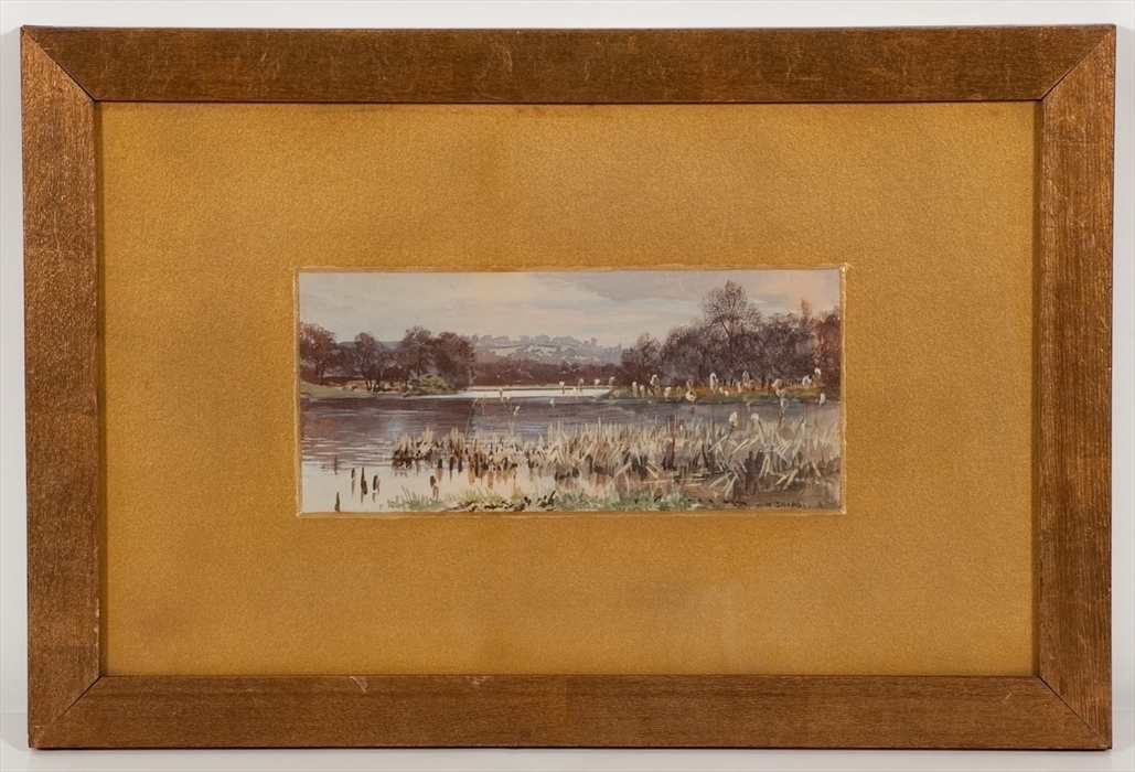 Martin Snape | 2 WORKS: SNOWY PINES ; CATTAILS IN THE MARSH | MutualArt