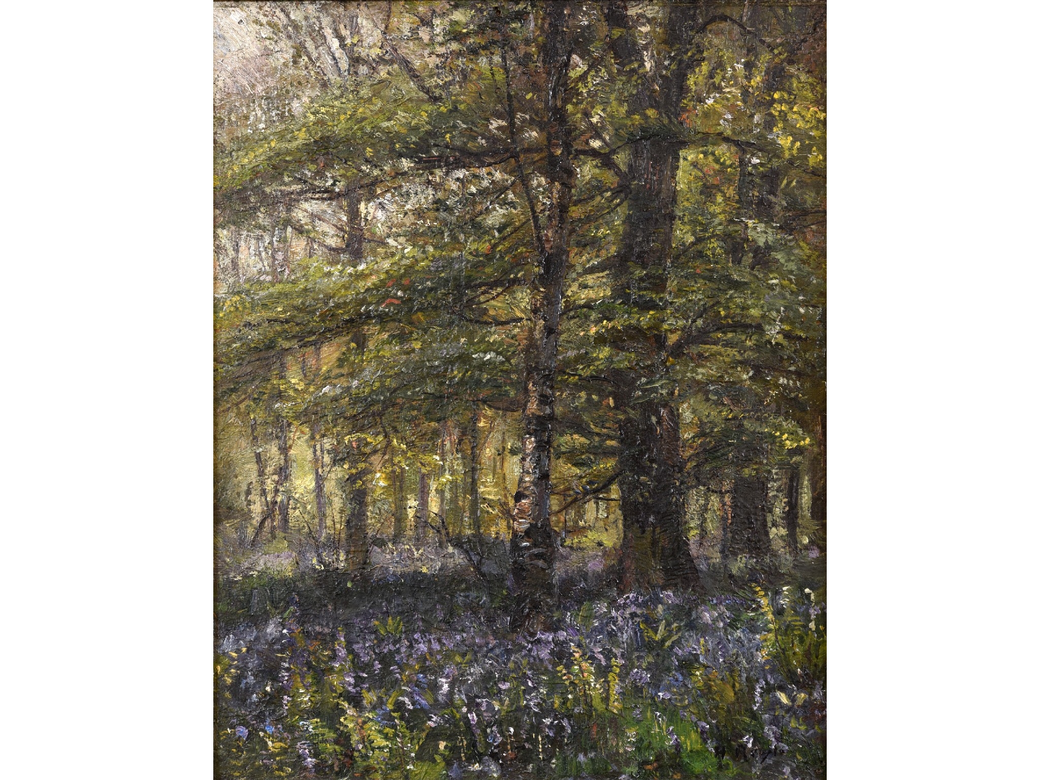 Herbert Royle | A Bluebell Wood | MutualArt