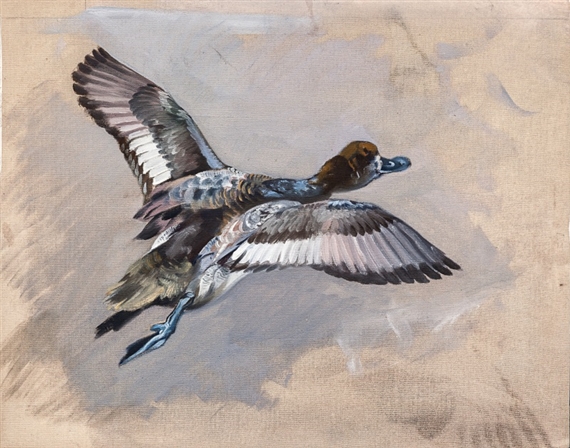 George Browne | Flying Bluebill | MutualArt