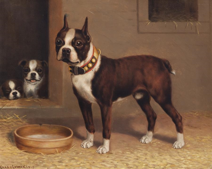 Harry Lyman | Boston Terrier and pups in a barn (1910) | MutualArt