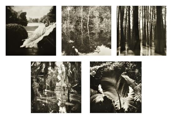 Sally Gall | 5 Works: Untitled | MutualArt