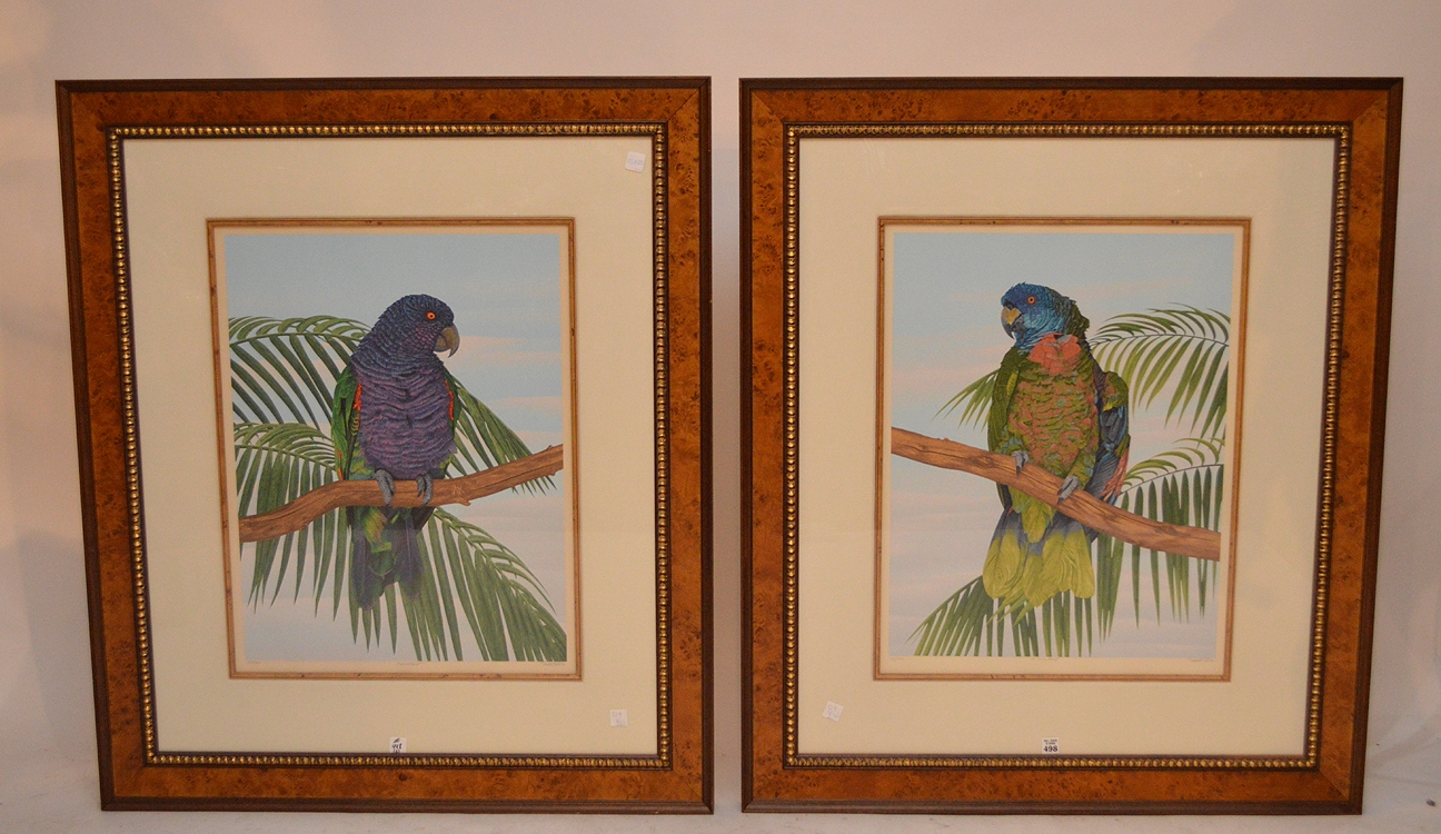 Dallas John | 2 Works: St. Lucia Parrot & Imperial Parrot | MutualArt