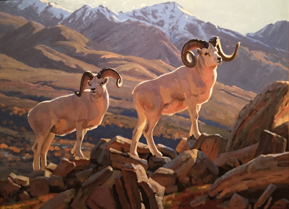 Dave Wade | Denali Rams | MutualArt