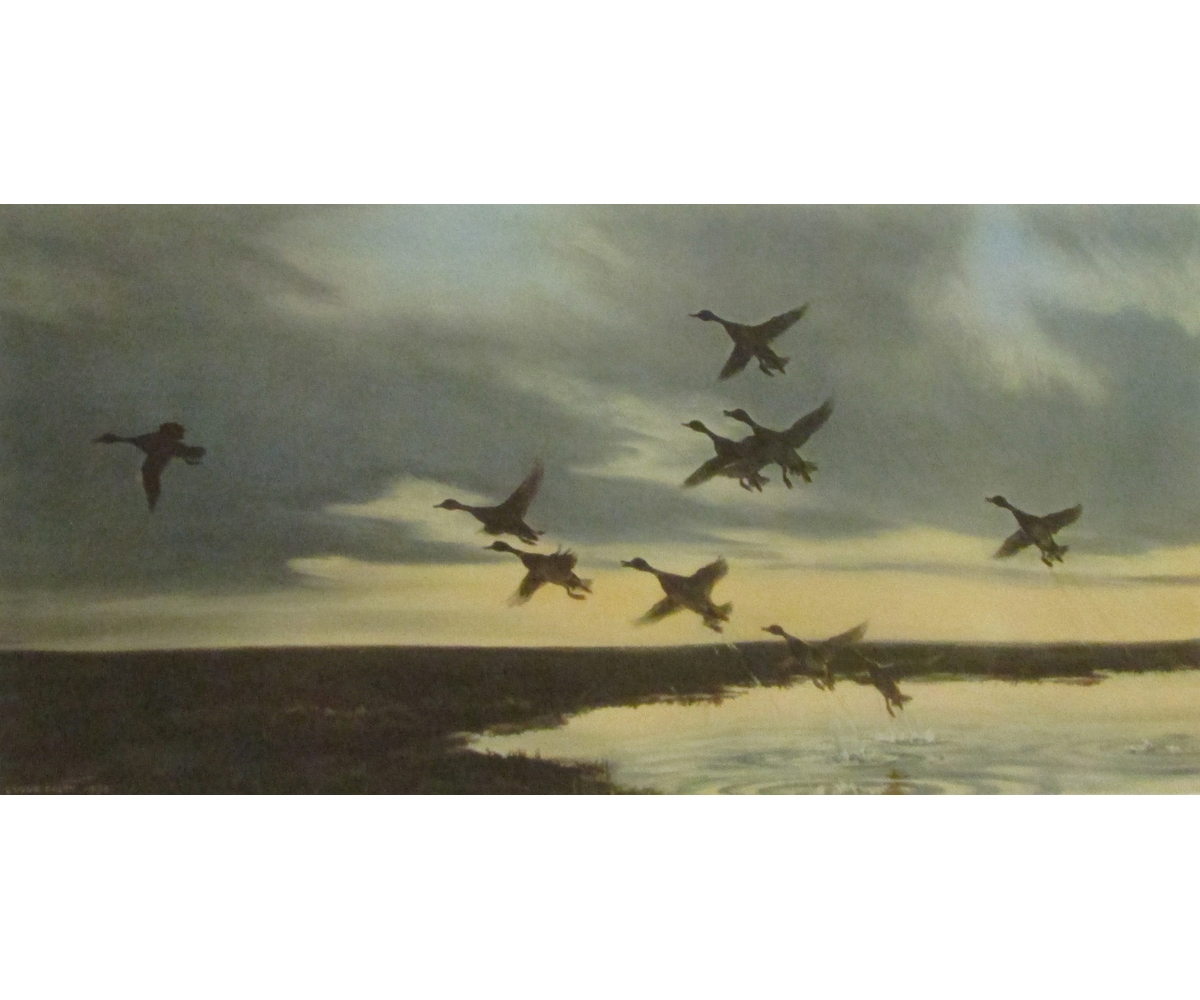 Peter Markham Scott | Mallard Alighting | MutualArt