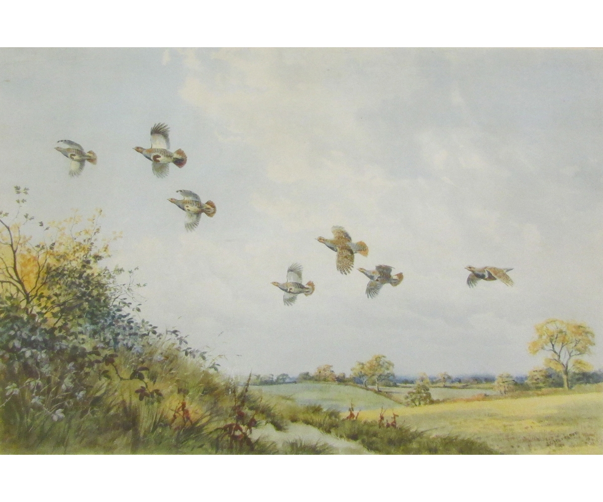 John Cyril Harrison | Partridge in Flight over a Field | MutualArt