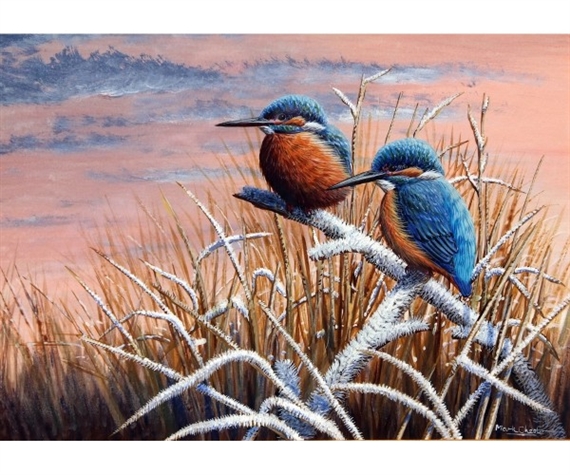Mark Chester | Morning Frost – Kingfishers | MutualArt