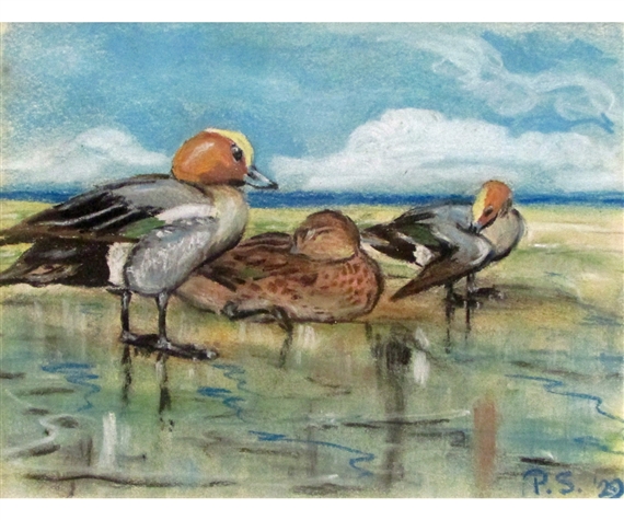 Sir Peter Markham Scott - Mallard Alighting,...