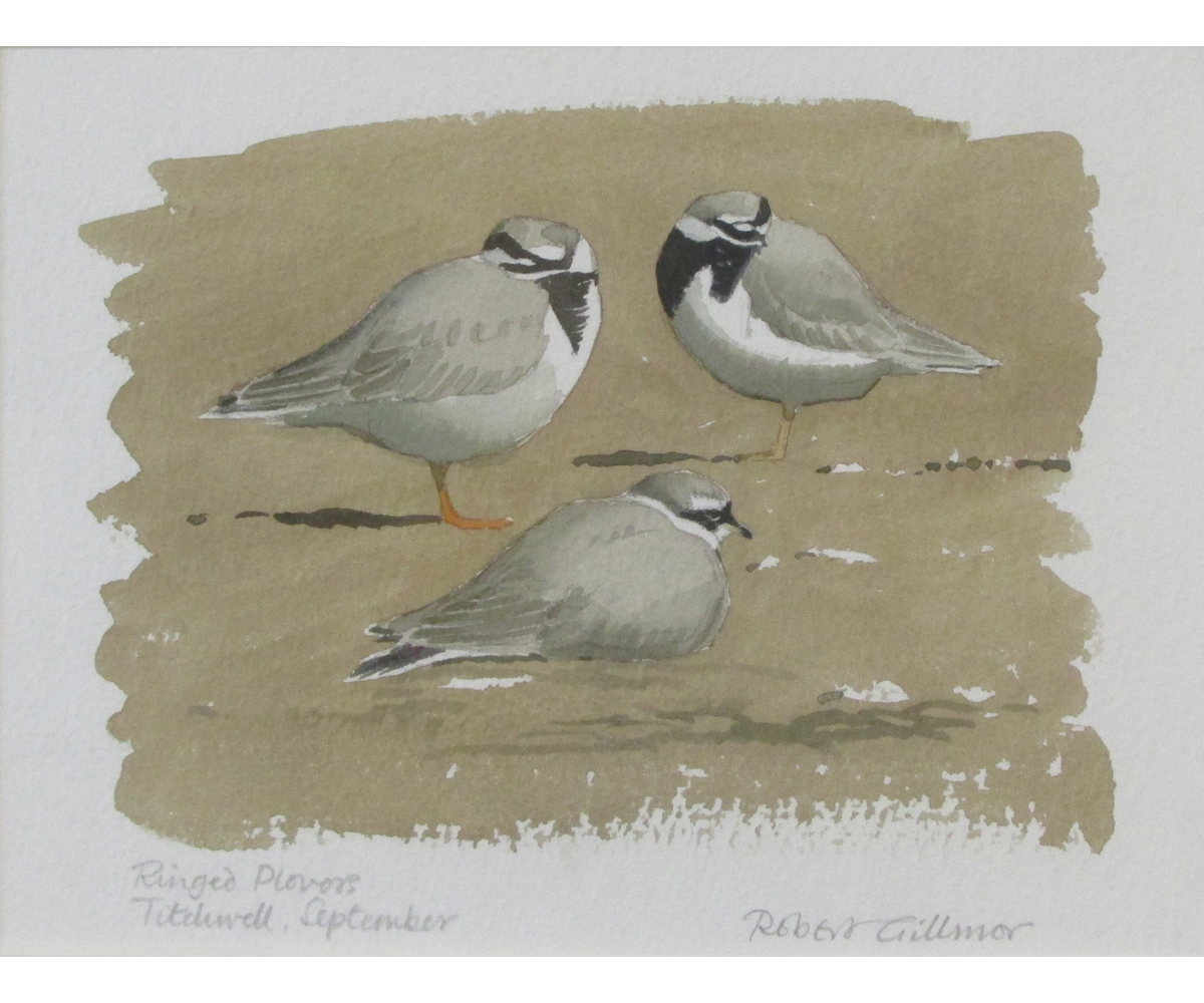 Robert Gillmor | Buzzard (1993) | MutualArt