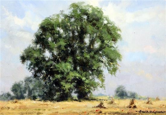 David Shepherd | Oak trees in a cornfield | MutualArt