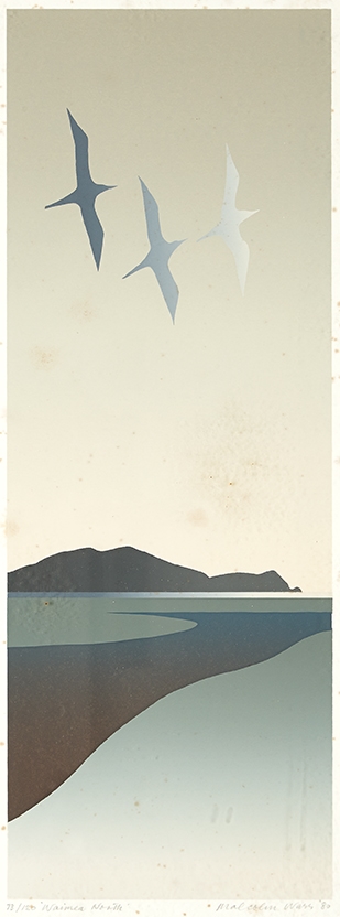 Malcolm Warr | Waimea North | MutualArt