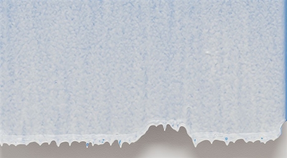 Joseph Cohen | Biography