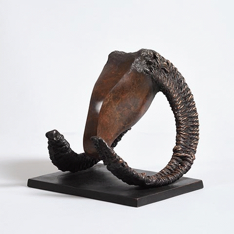 Anne Linnane | Rams Head | MutualArt