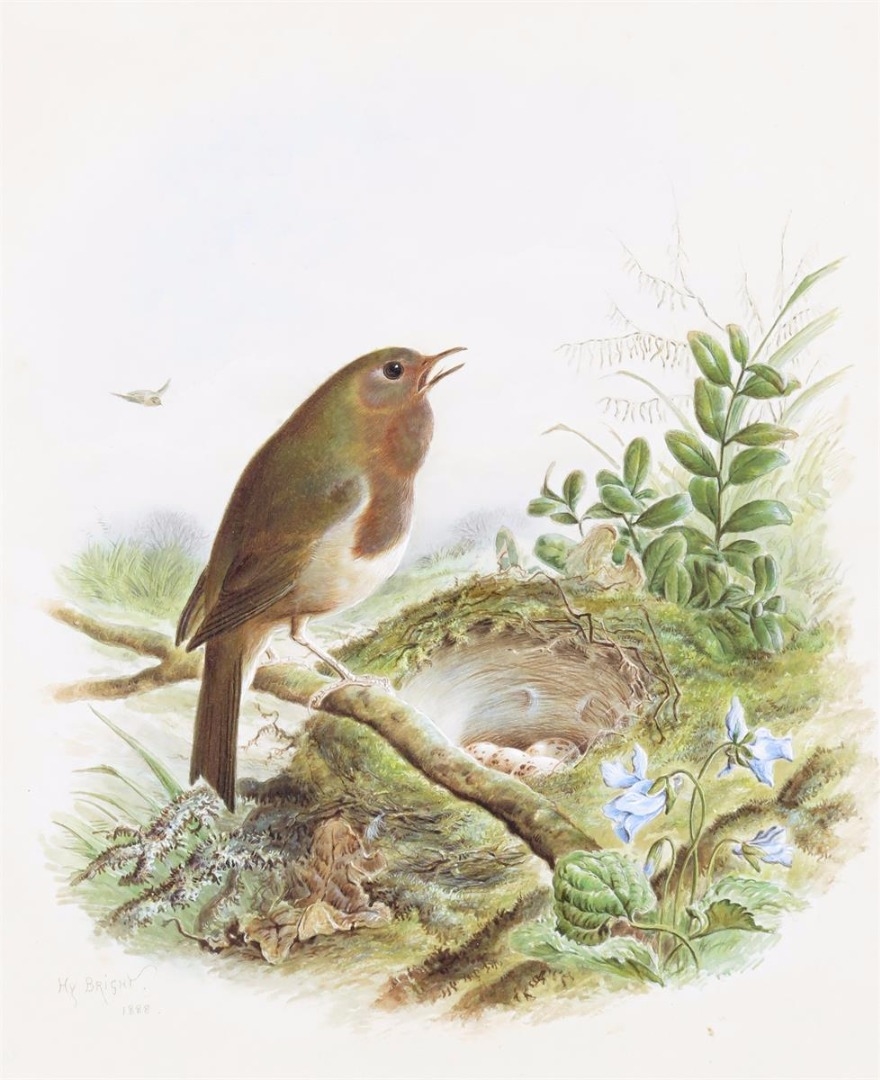 Harry Bright | Guarding the nest (1888) | MutualArt