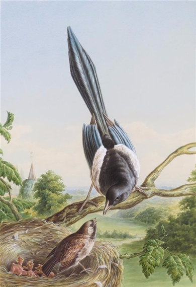Harry Bright | Magpie and bird's nest in a landscape (1877) | MutualArt