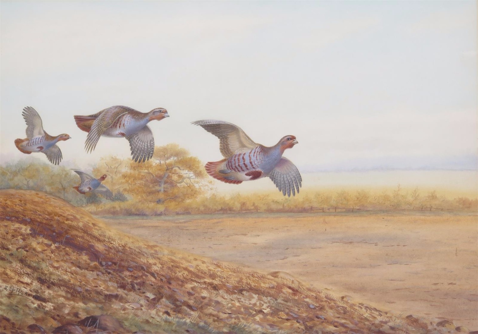 Philip Rickman | Partridge covey in flight | MutualArt