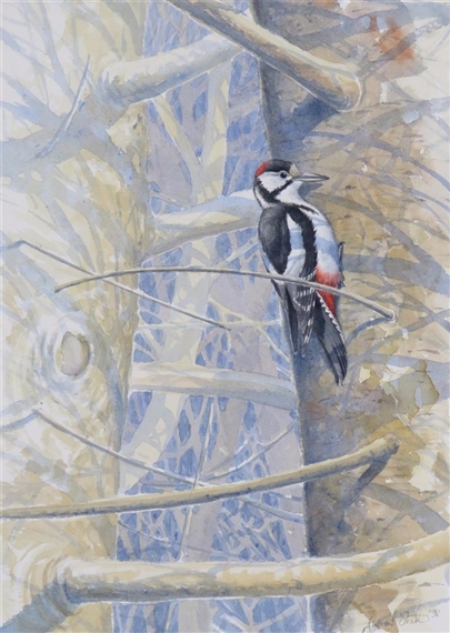 Andrew Stock | 12 Artworks at Auction | MutualArt