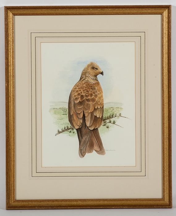 Daphne Harrison | Kite | MutualArt