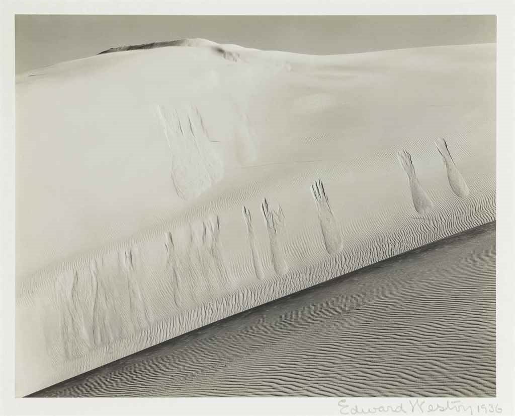 Edward Weston | Dunes, Oceano (1936) | MutualArt