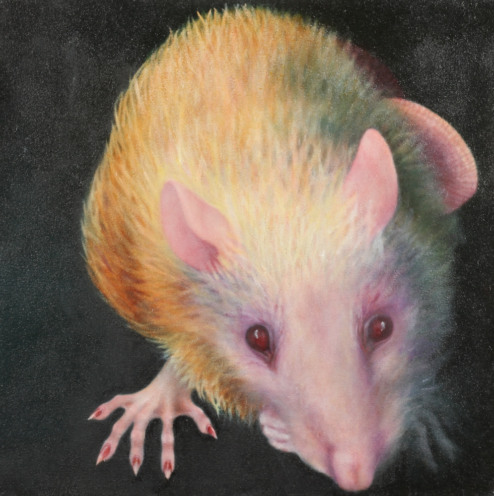 Manon Cleary | Rat at Rest | MutualArt