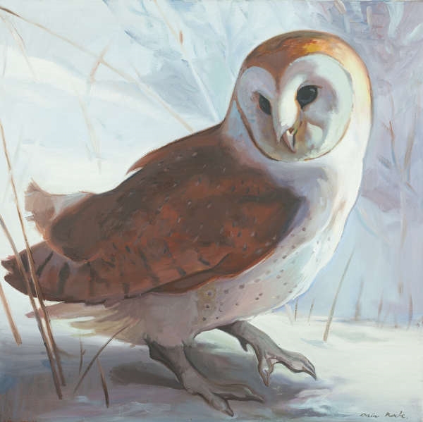 Oisin Roche | Barn Owl | MutualArt