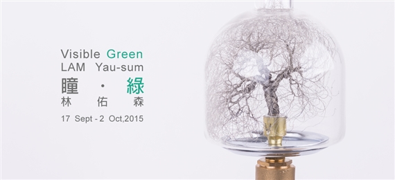 Lam Yau-sum | Biography