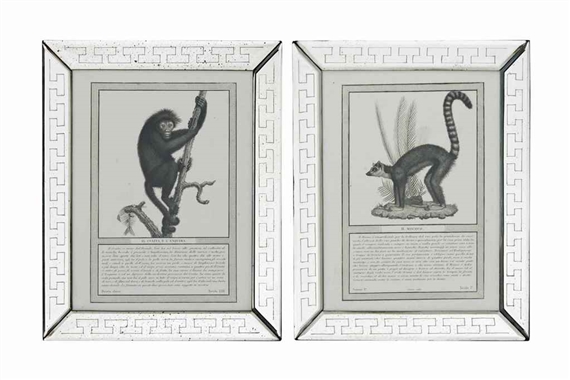 Nicolas Henri Jacob | SET OF 12; ITALIAN ENGRAVINGS OF APES AND MONKEYS ...