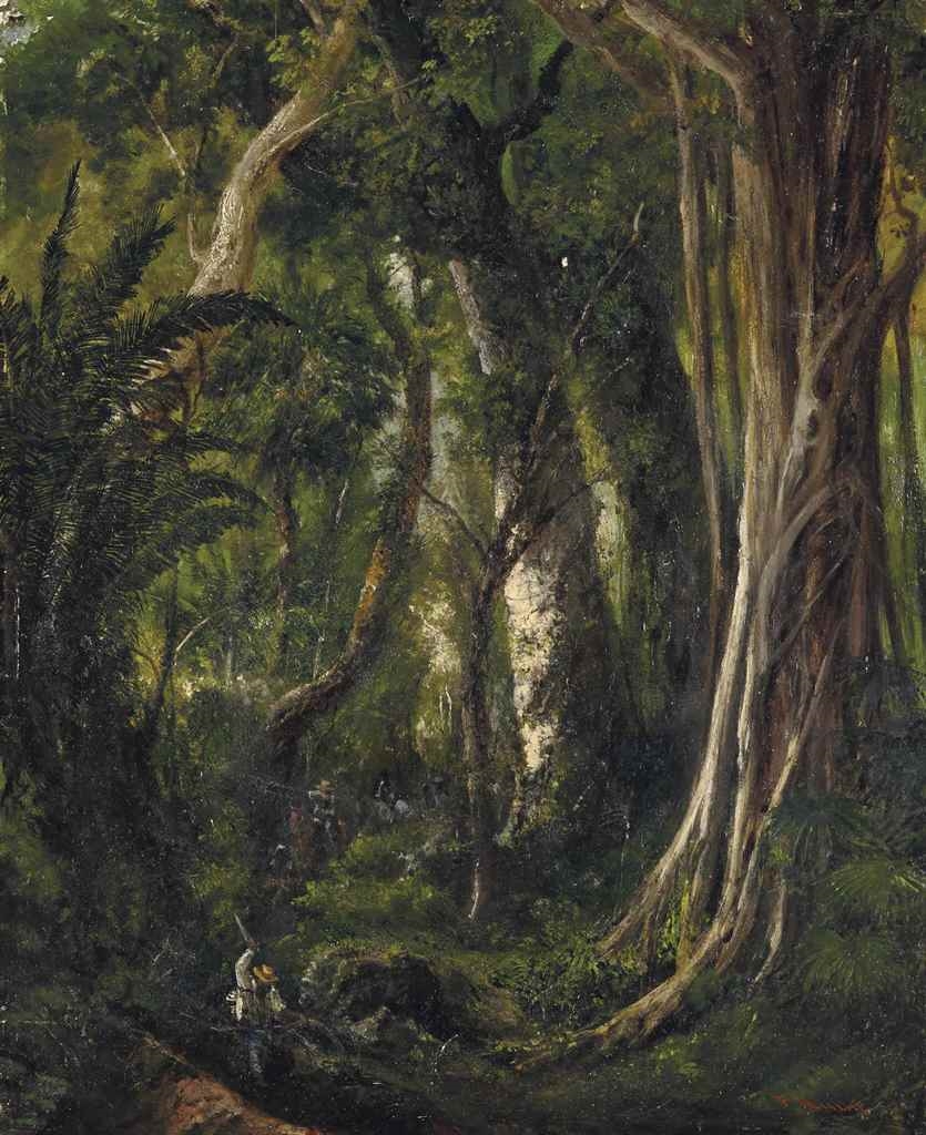 Cuban Forest