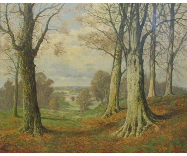 David Mead | Valley Landscape | MutualArt