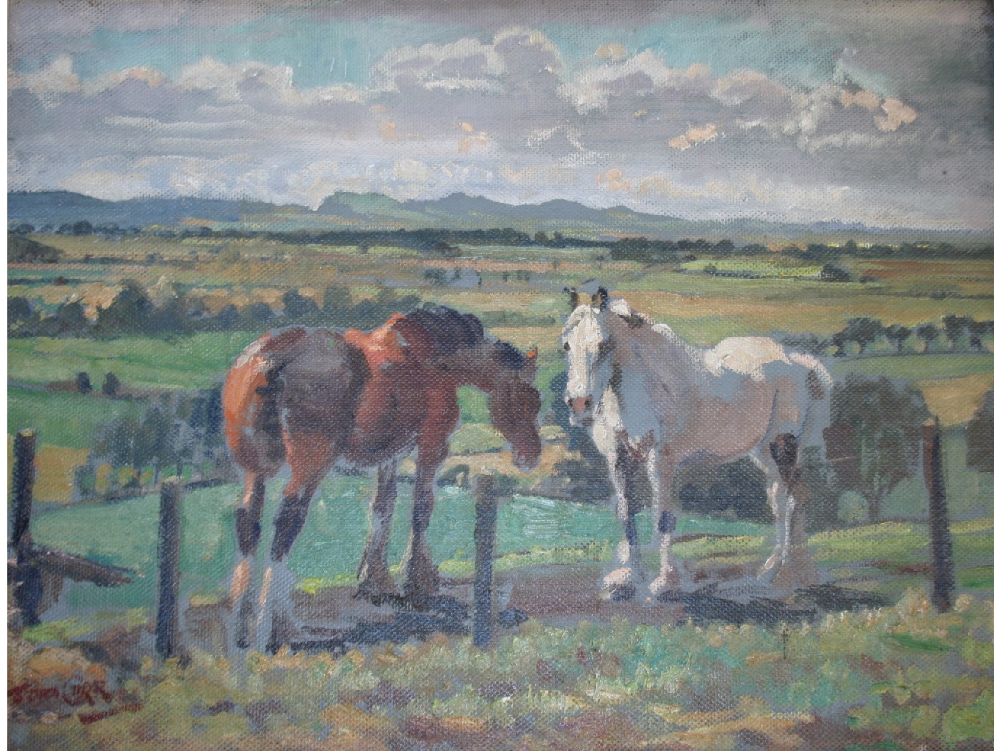 Tom Curr | TWO HORSES IN A FIELD | MutualArt