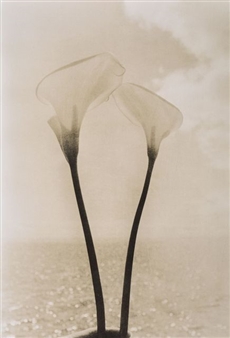 Robert Besanko | 19 Artworks at Auction | MutualArt