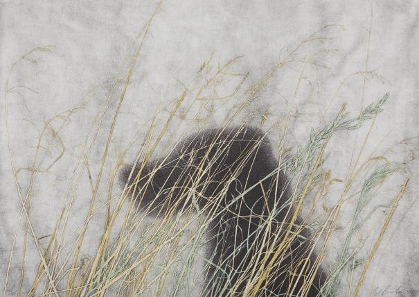 Ed Ruscha | Dog (1995) | MutualArt