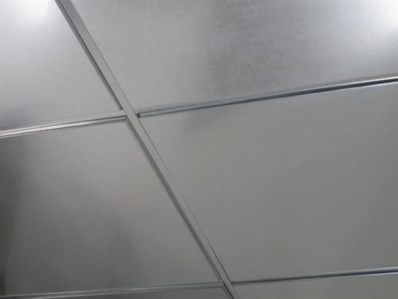 Raphael Taylor | Artist Overview | MutualArt