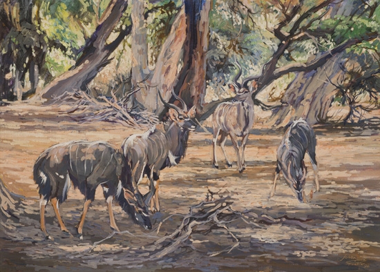 Johan Grobler | Kudu in a dry Riverbed beneath Trees | MutualArt