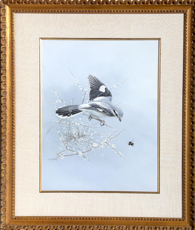 R. David Digby | Snow Wren (1989) | MutualArt