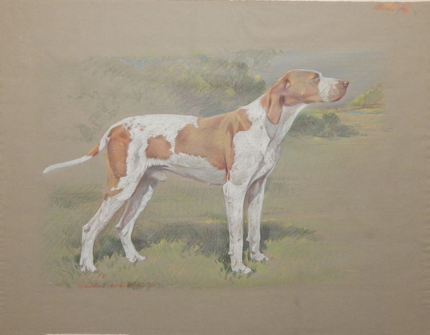 Morgan Dennis | Setter (1932) | MutualArt